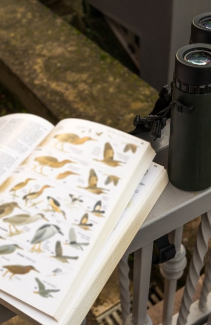 Facilities & Experiences - Manzi Monaté