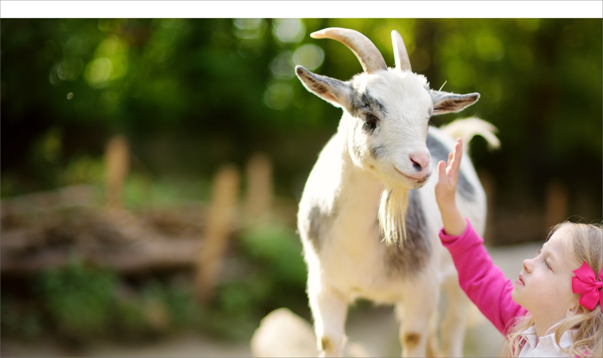 Facilities & Experiences - Manzi Monaté